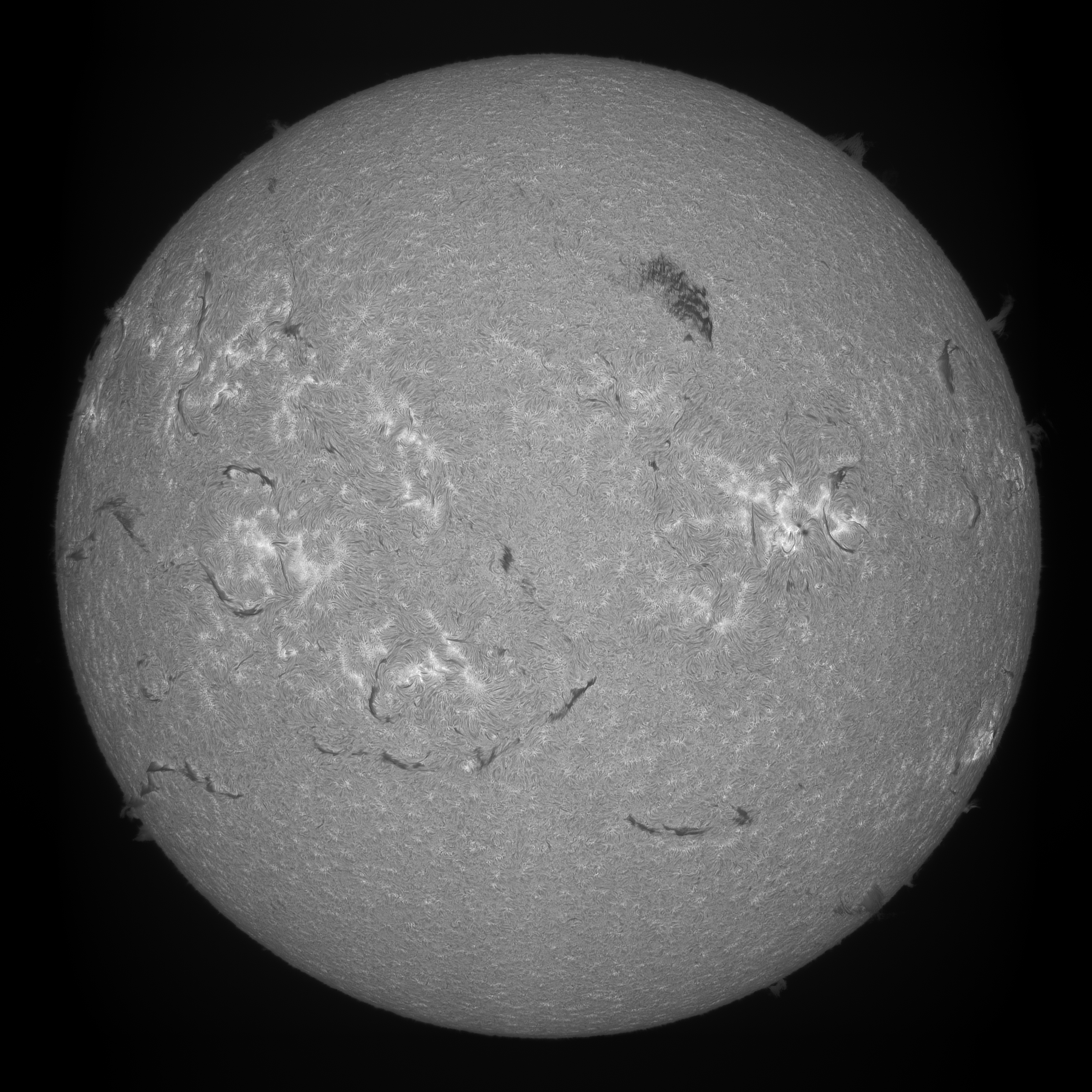 Spaceweather.com Realtime Image Gallery